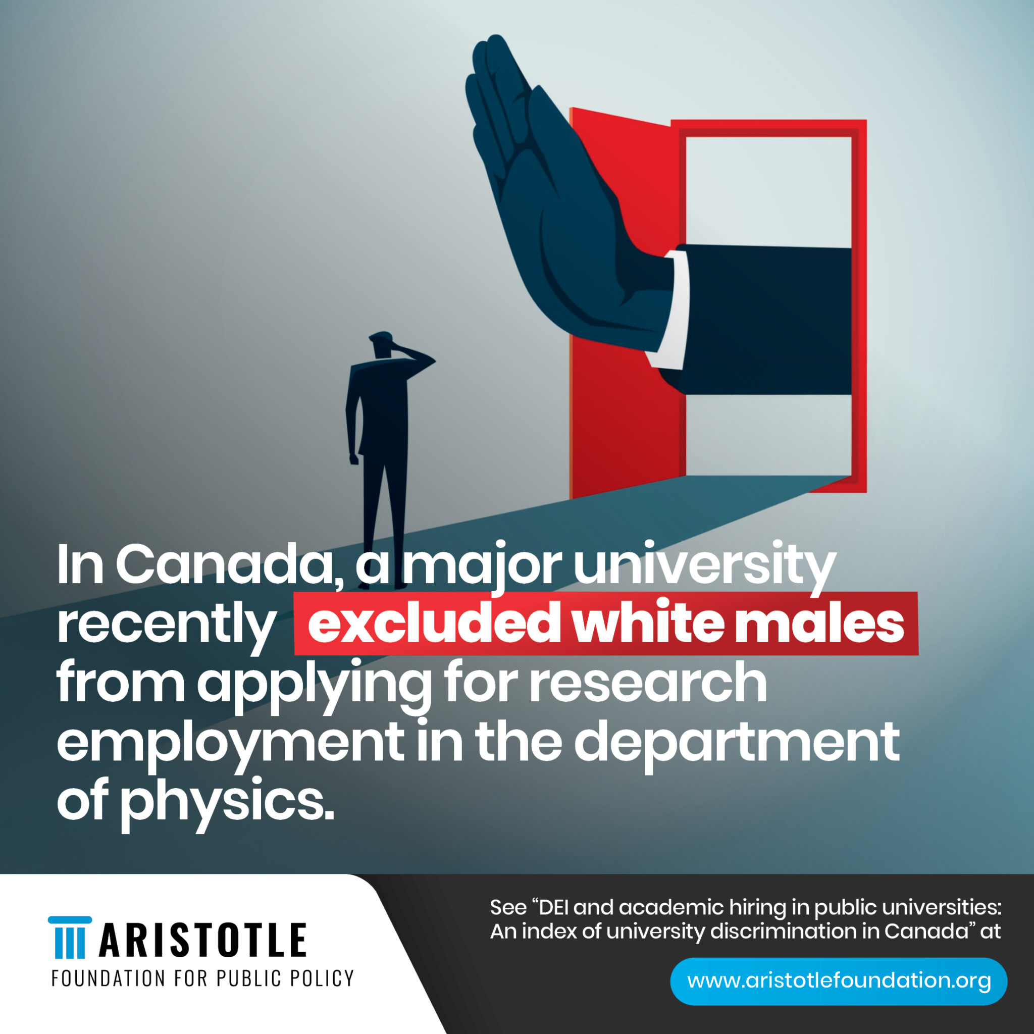 DEI and academic hiring in public universities: An index of university ...