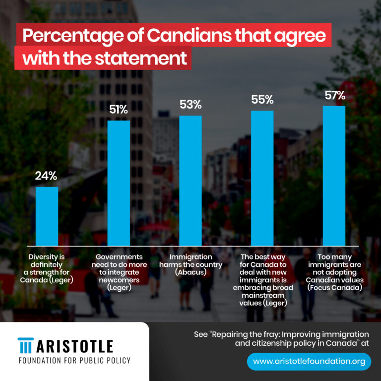 Repairing the fray: Improving immigration and citizenship policy in ...